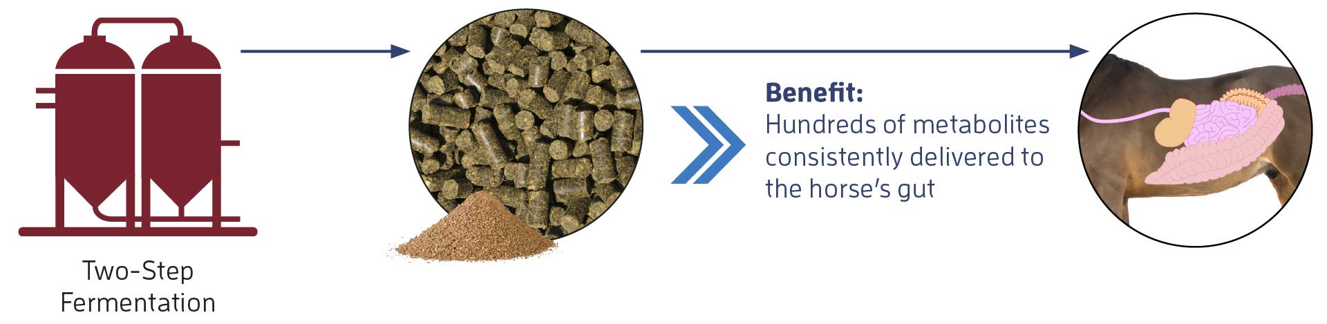 What is TruEquine - TruEquine Postbiotic